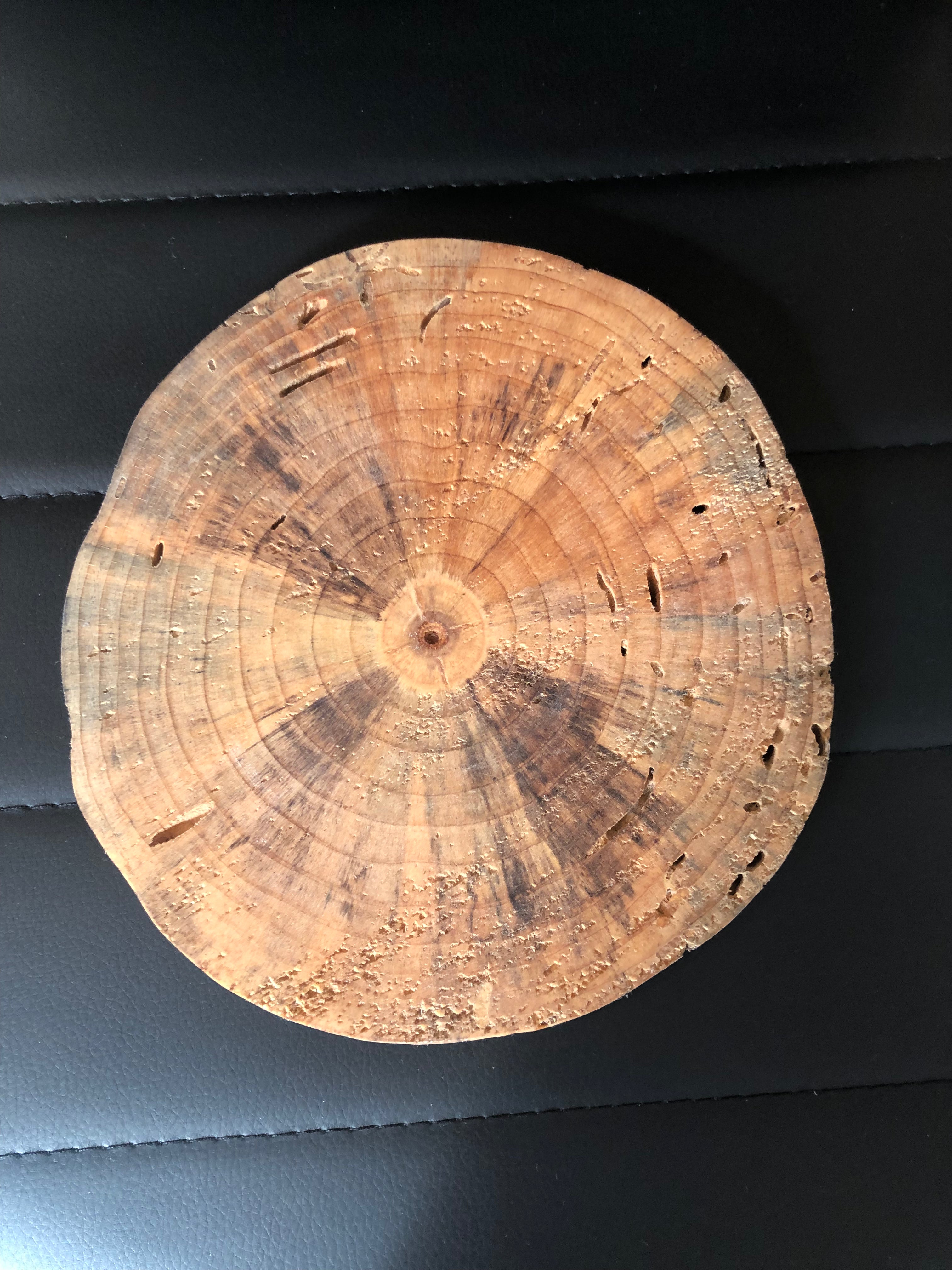 Trees on the Lathe – Streak of Green